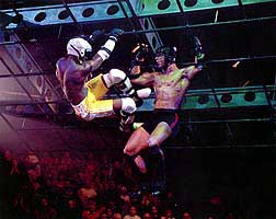 Leavittation, Inc. - Television and Film Credits