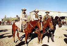 Leavittation, Inc. - Television and Film Credits